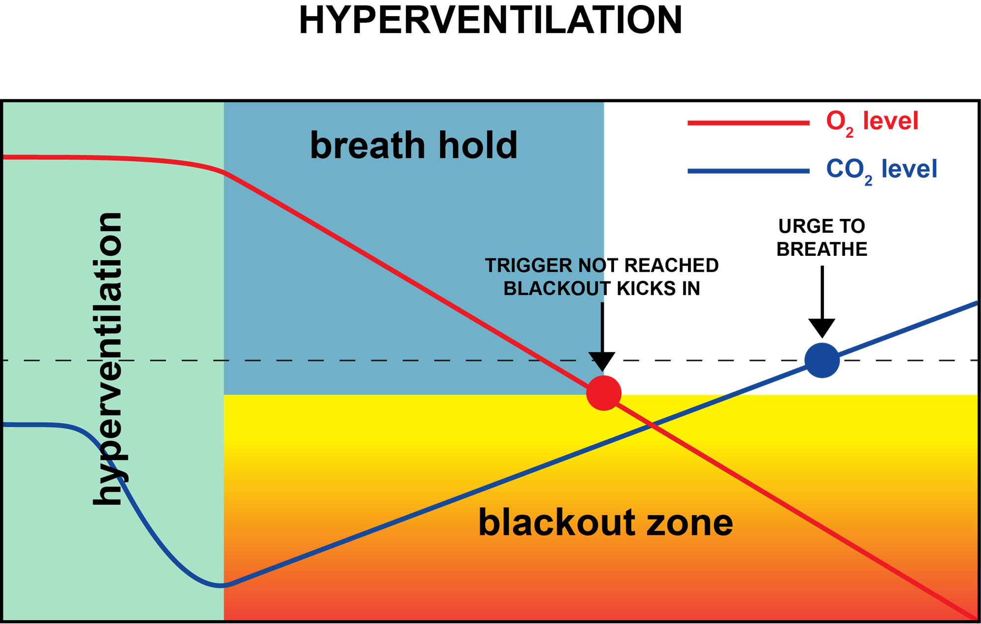 Tips for the Freedive Medic
